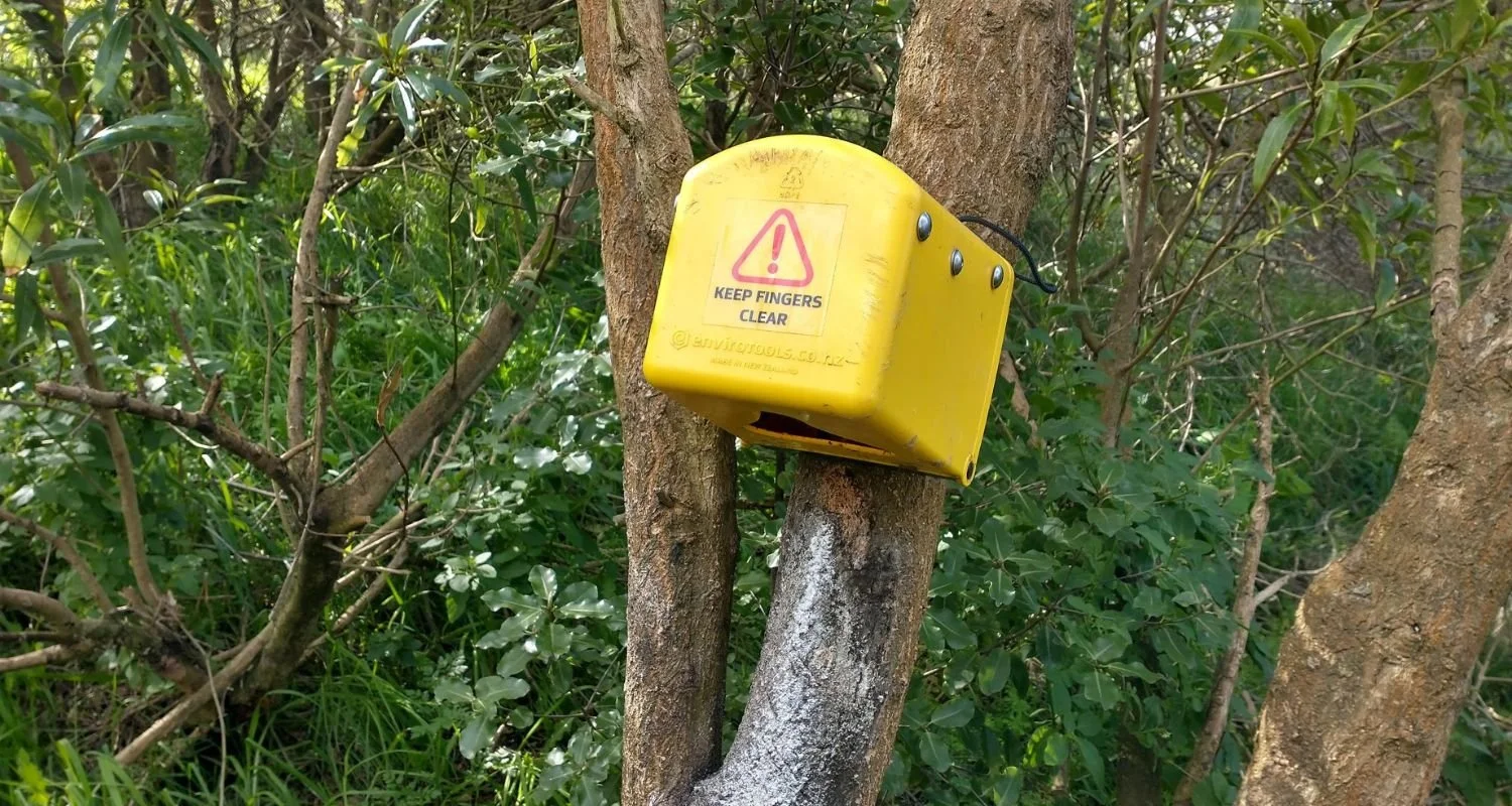 How to use a Flipping Timmy possum trap — City Sanctuary