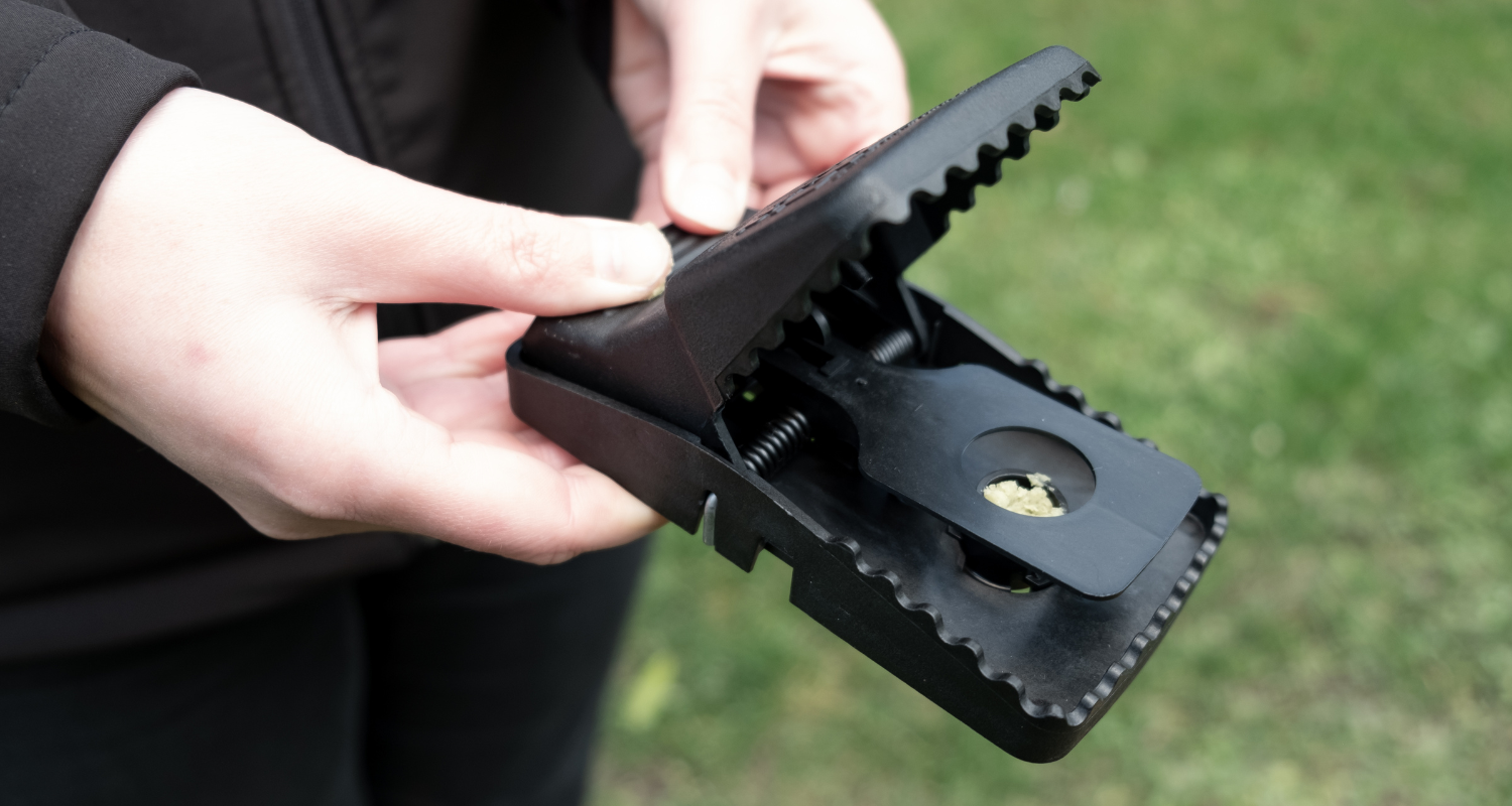 Trapper T Rex Rat Snap Traps