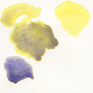 How I Make My Watercolor Paintings Muddy — Ruthieonart Fine Art