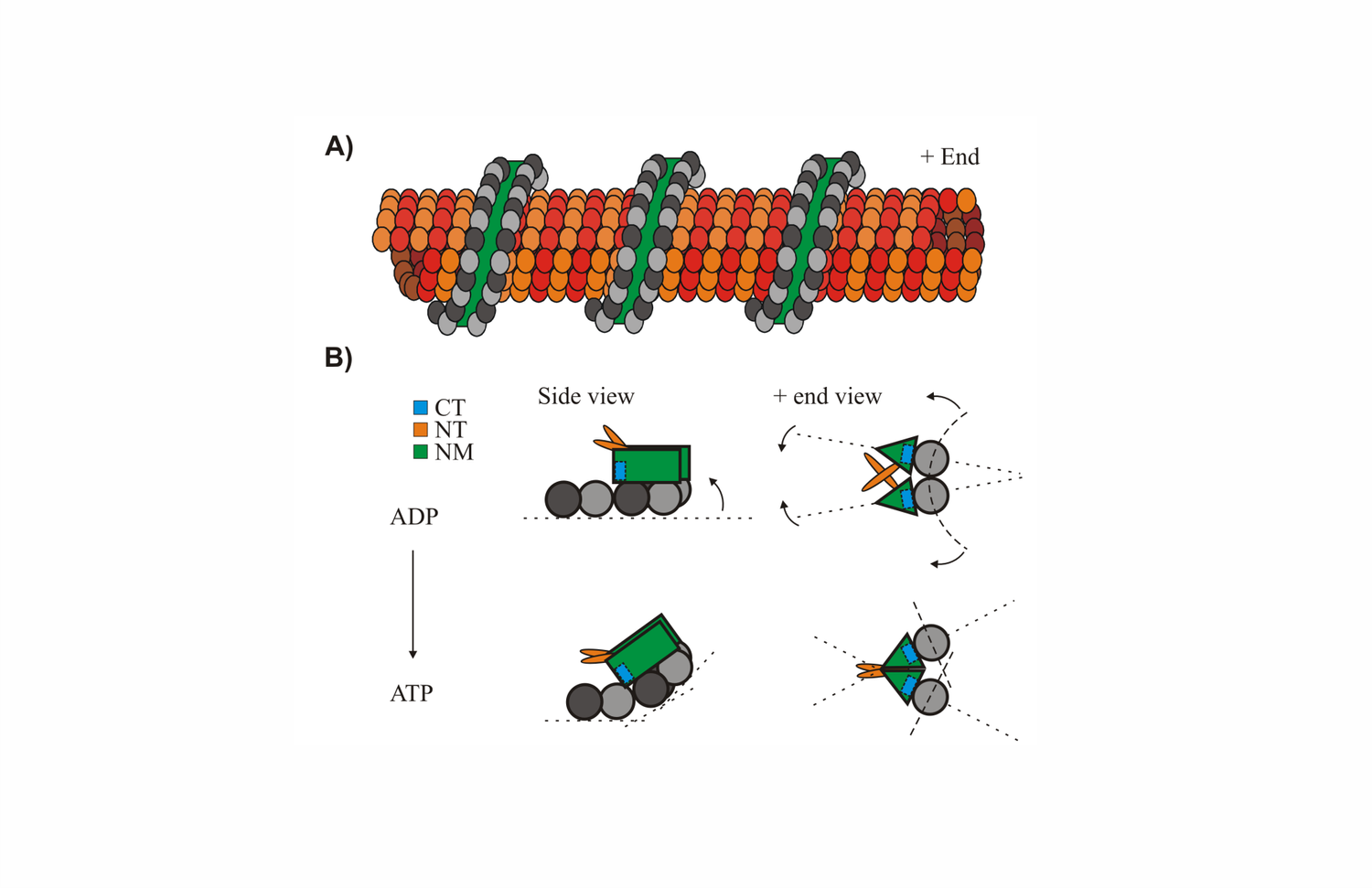 Academic Research — APACE