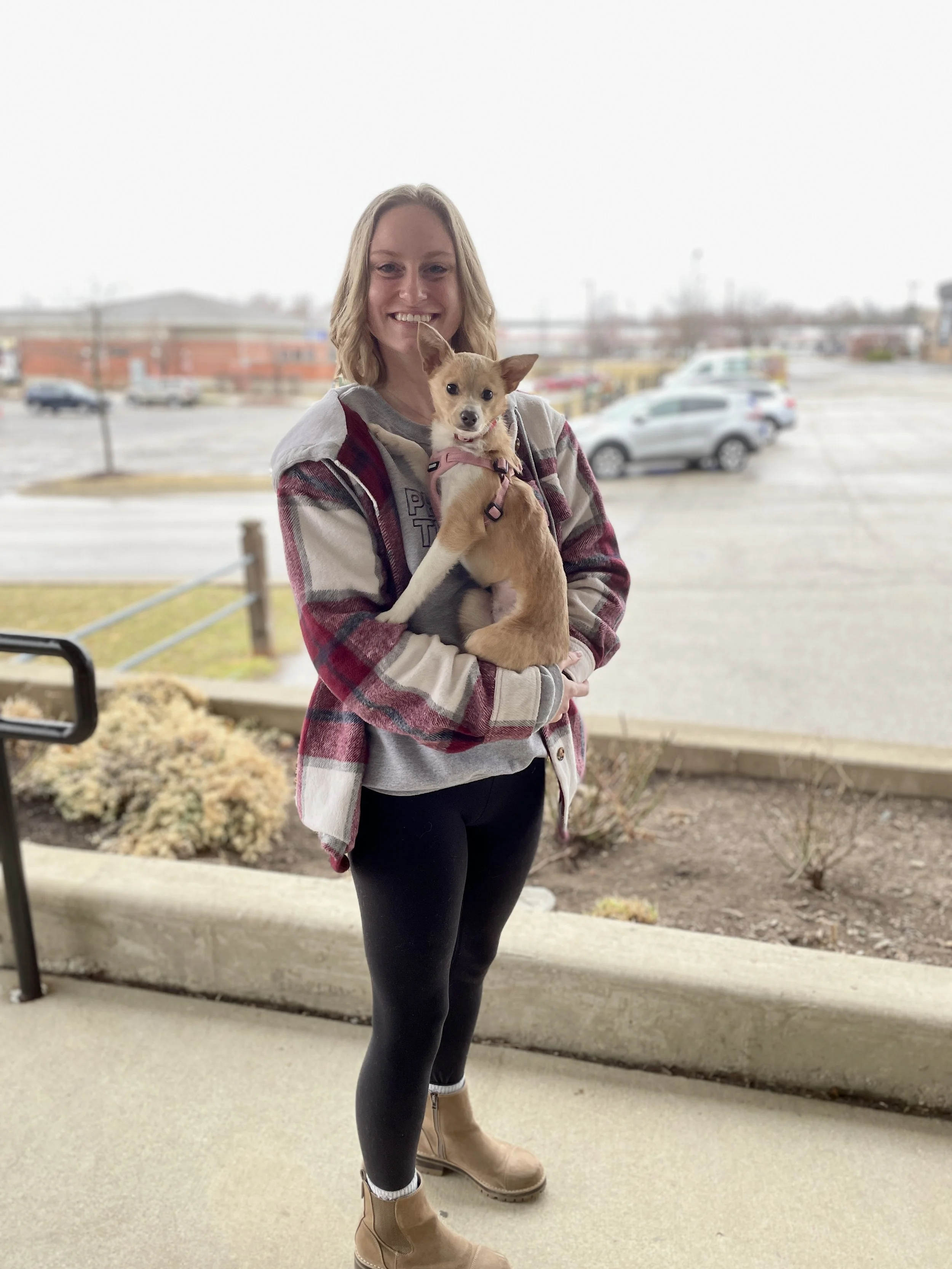 Adopt — Reach Rescue