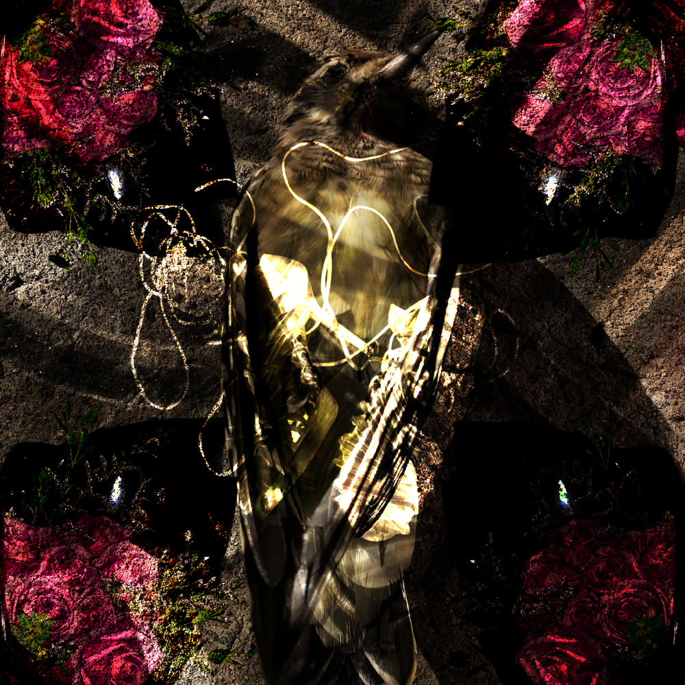 Cinderella — CORTEX COLLECTIVE