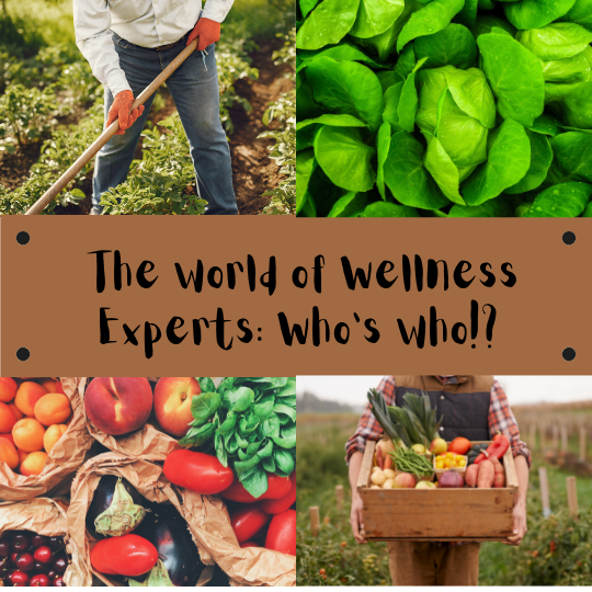 The World of Wellness Experts: Who’s who!? — Bearwallow farm