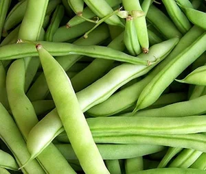 Slow Cooker Half Runner Green Beans Recipe — Bearwallow farm
