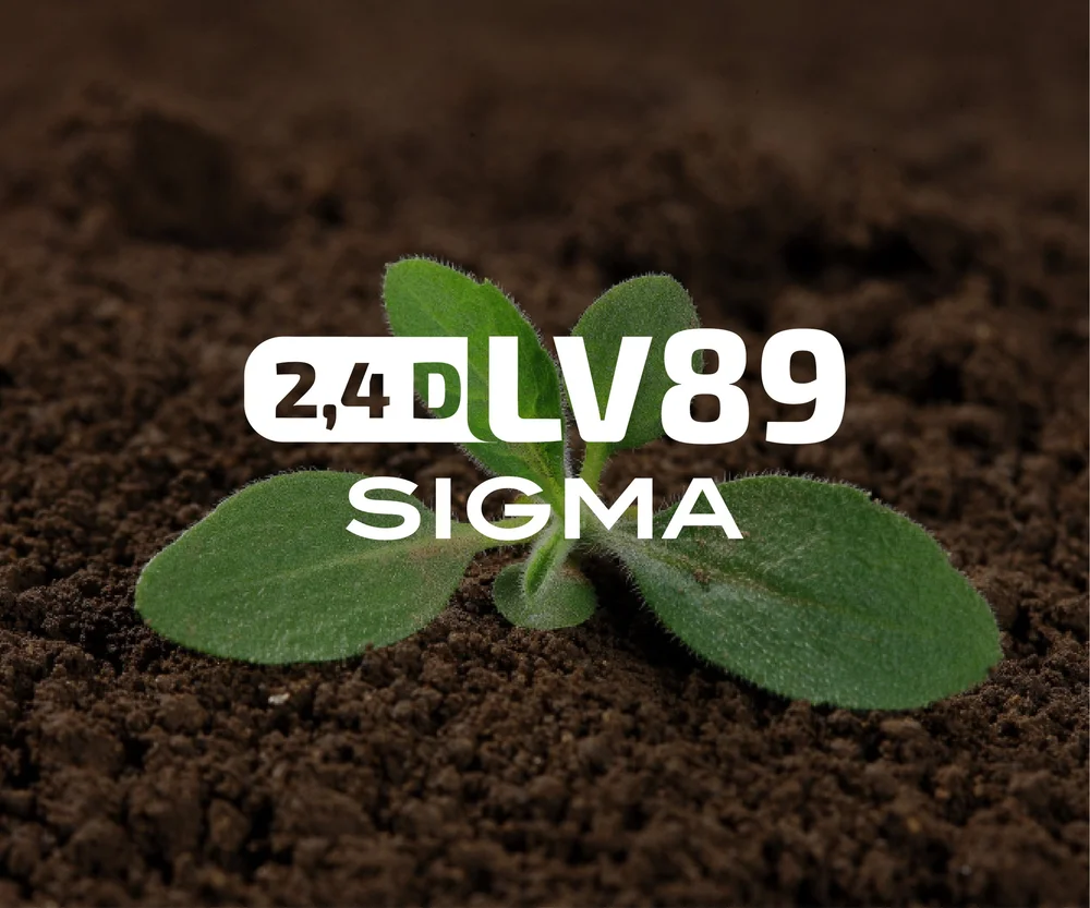 2,4 D LV 89 — sigma360