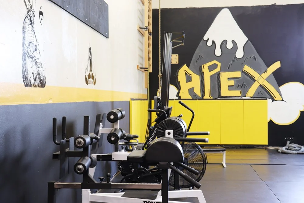 APEX GYM