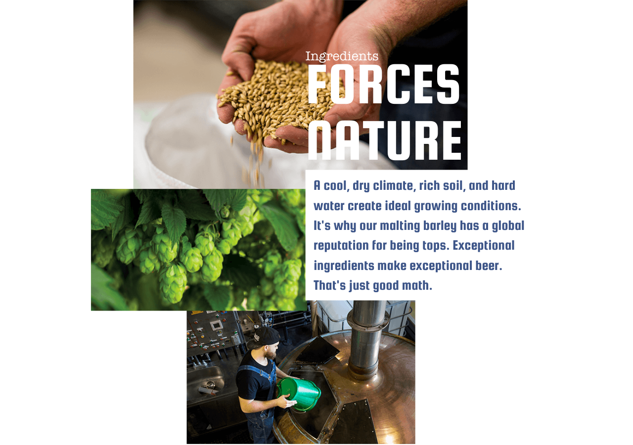 Alberta Small Brewers Association