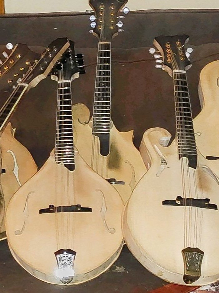 Mandolin Styles | Kettler Mandolins | Fine Handmade Acoustic Instruments