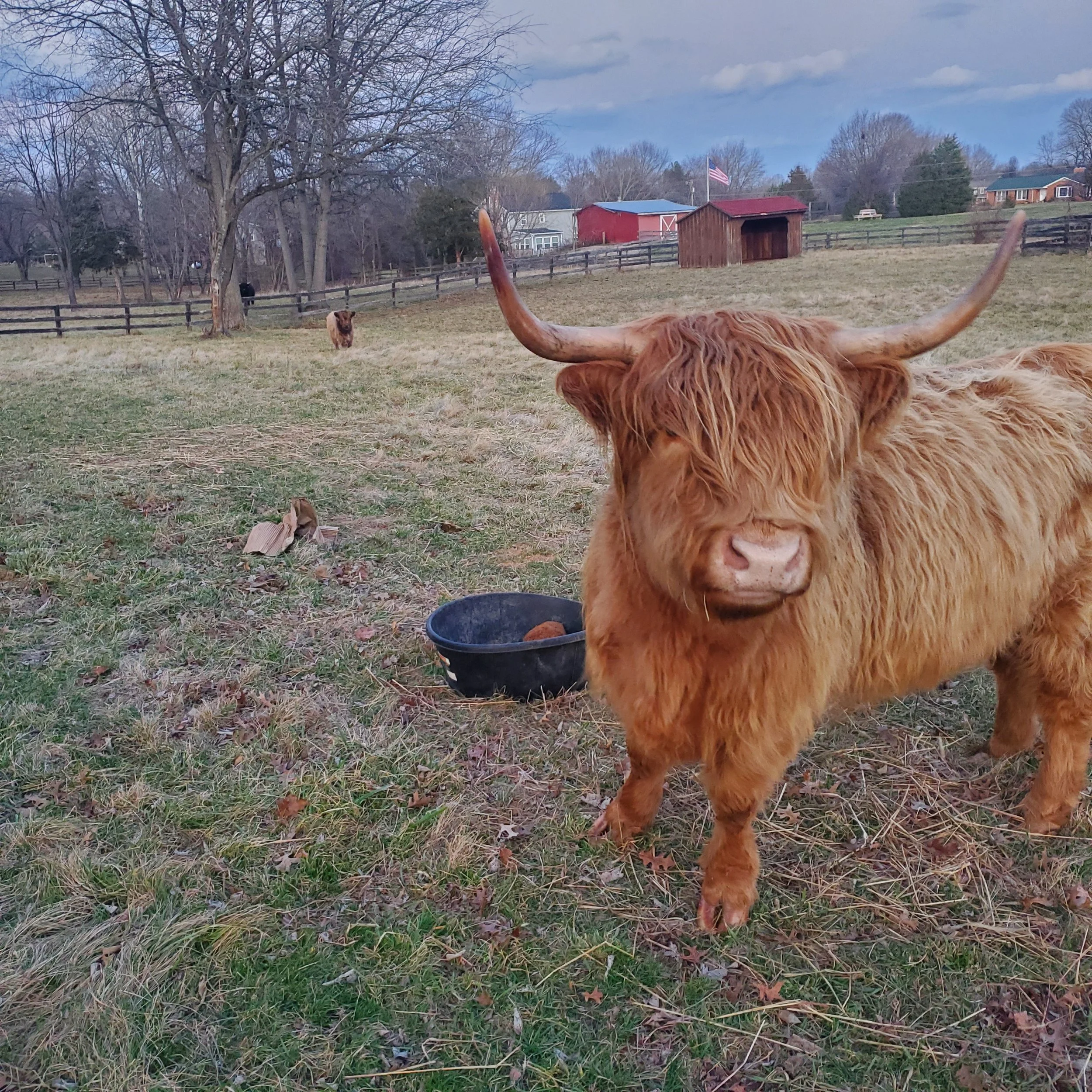 Practices — Laz E Hill Farm