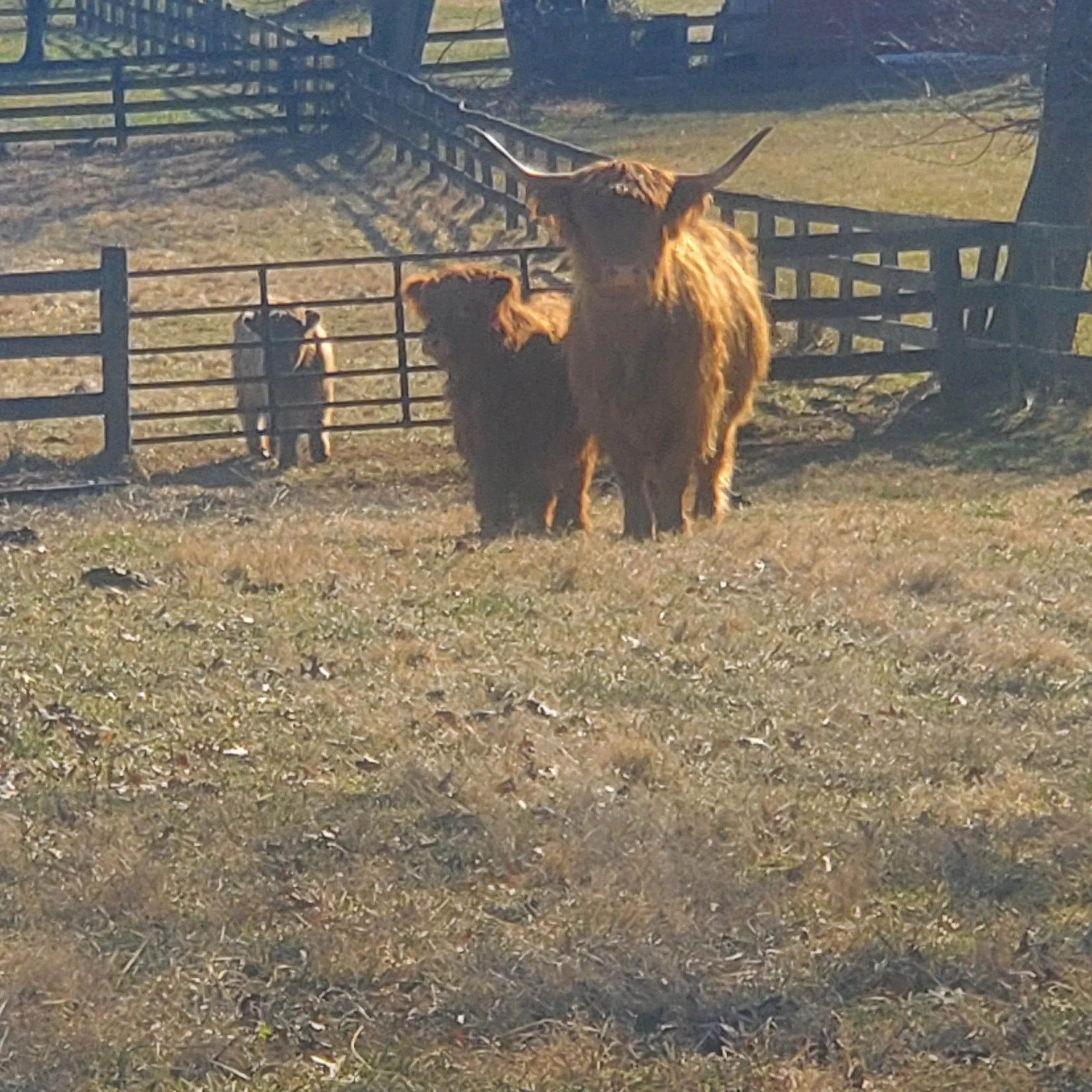 Practices — Laz E Hill Farm