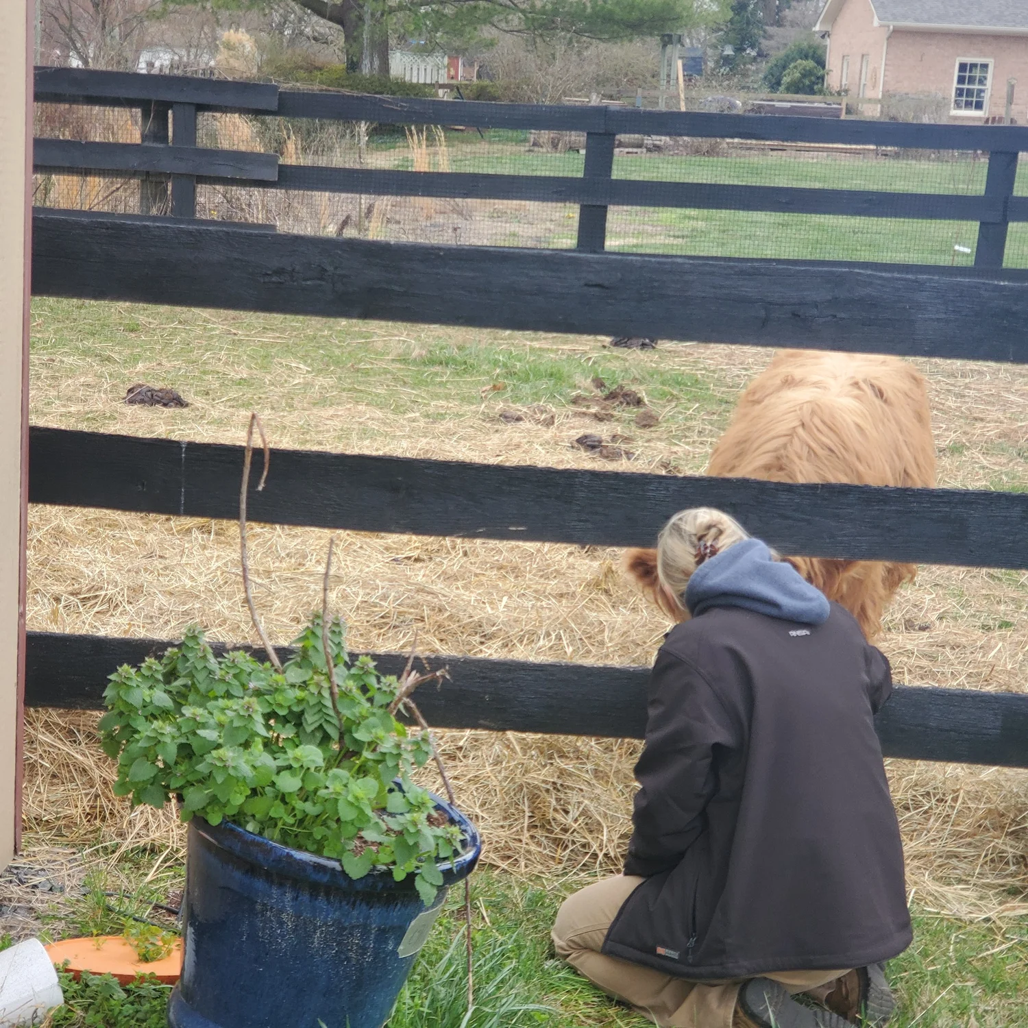 About — Laz E Hill Farm