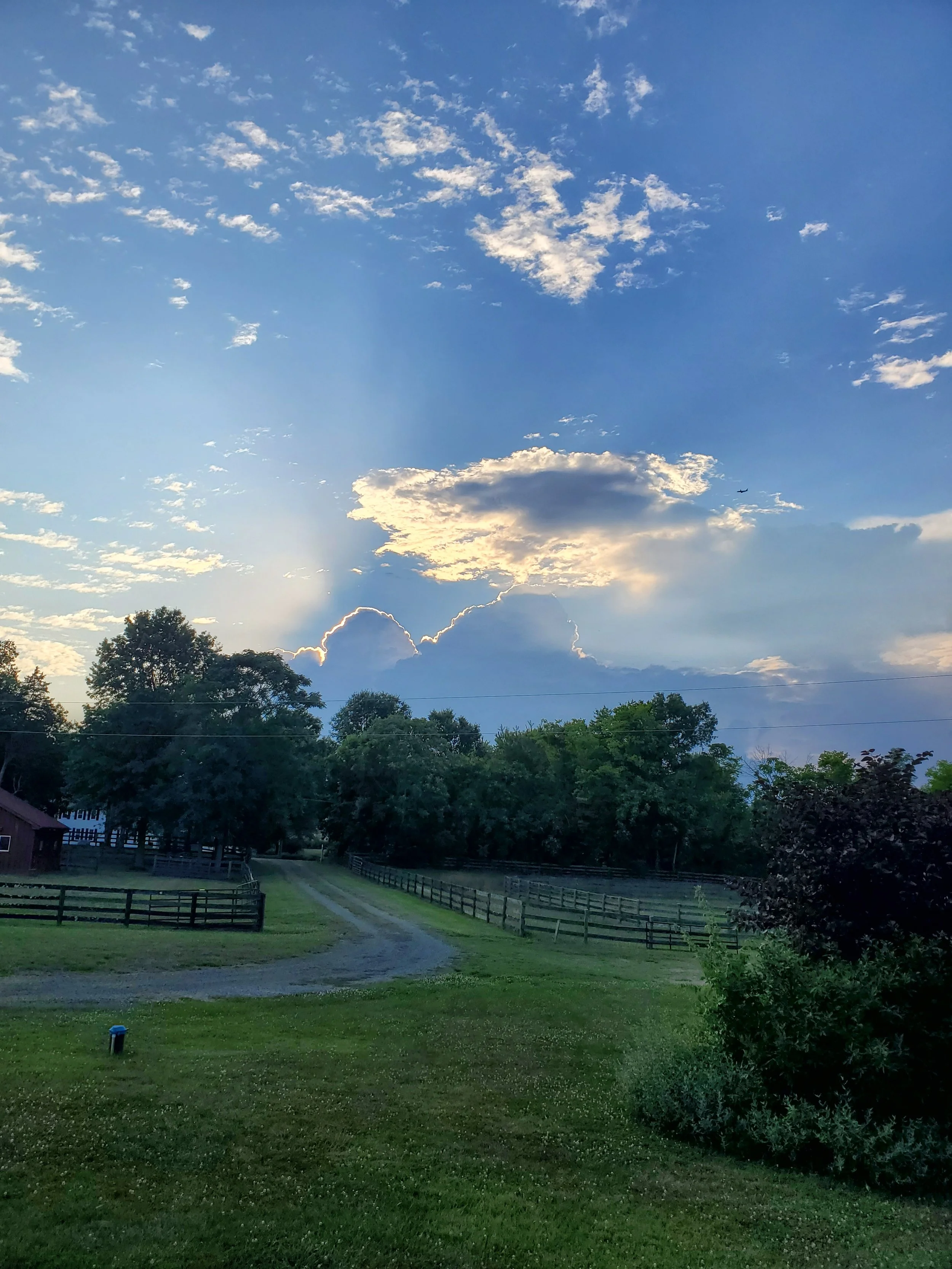 Contact — Laz E Hill Farm