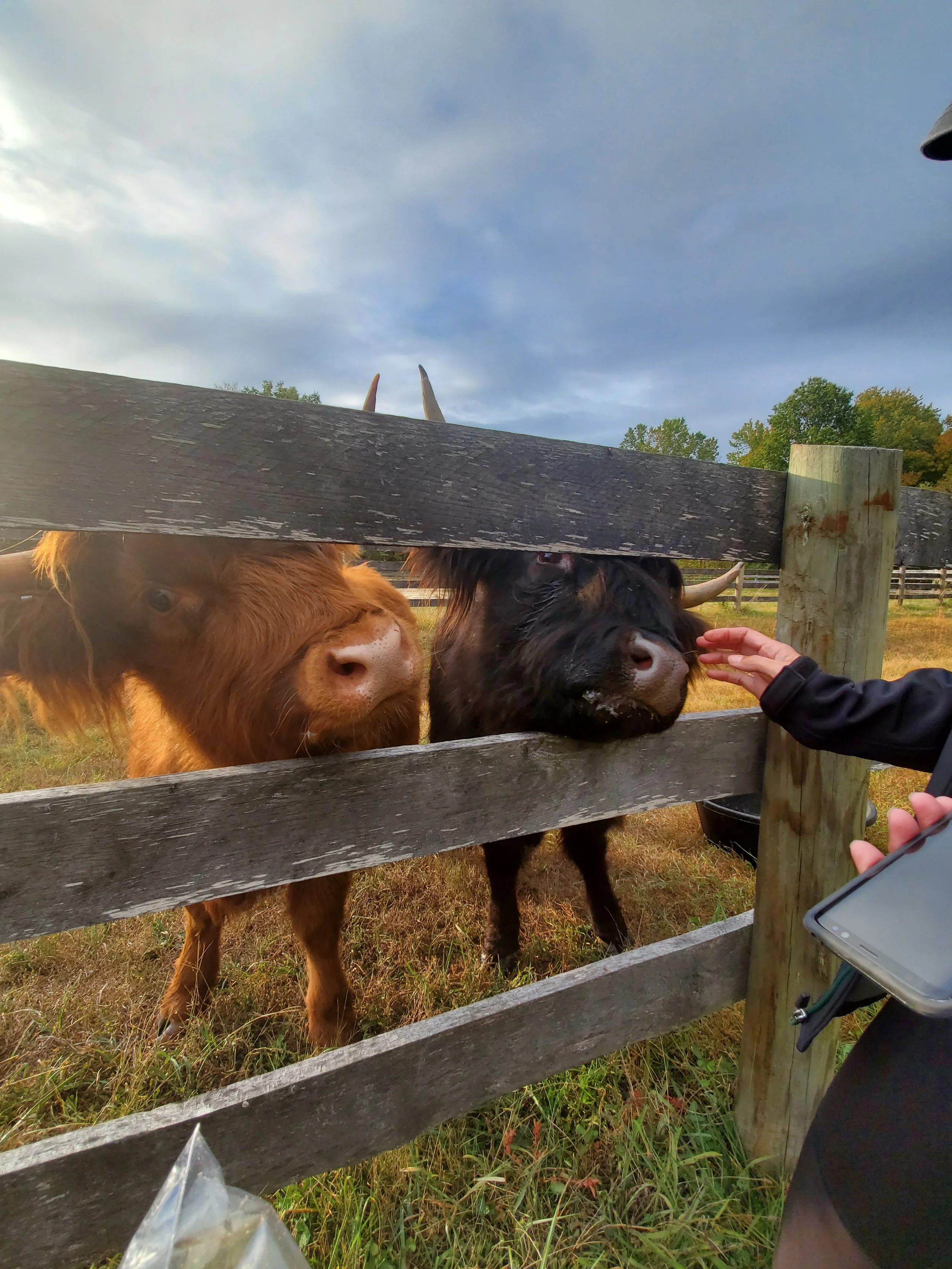 Practices — Laz E Hill Farm