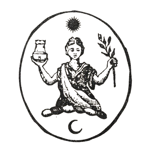 Magic Mushroom Ceremonies & Ayahuasca Retreats