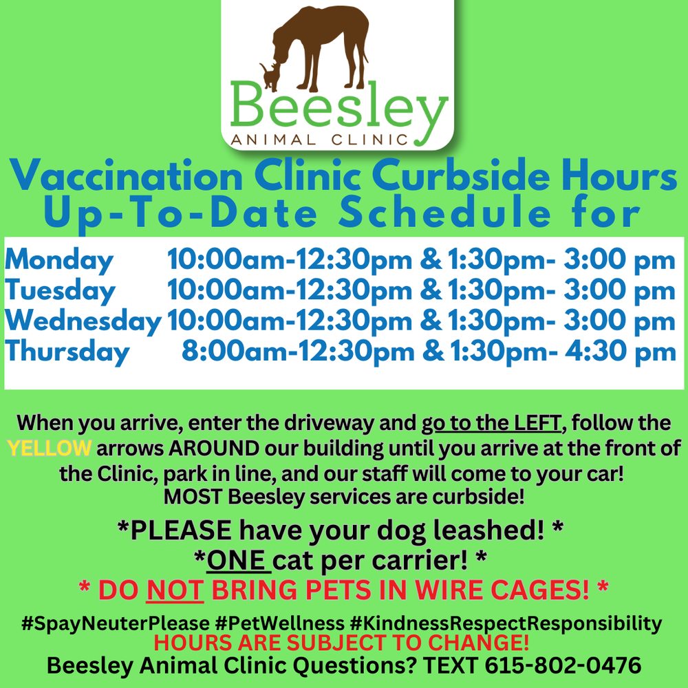 About our Services | Explore Our Offerings — Beesley Animal Clinic