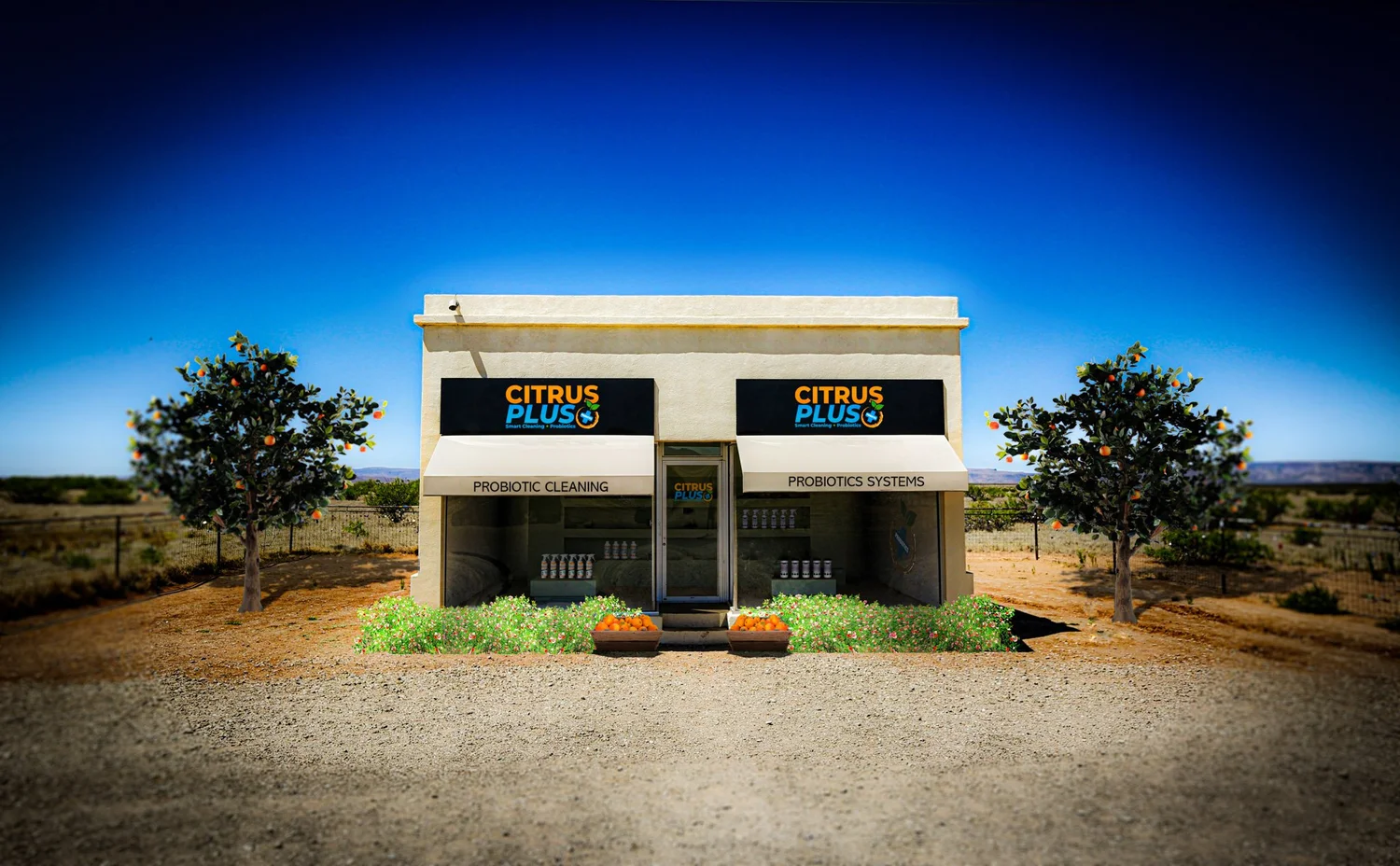 CP Product — CITRUS PLUS - Healthy Probiotic Cleaning