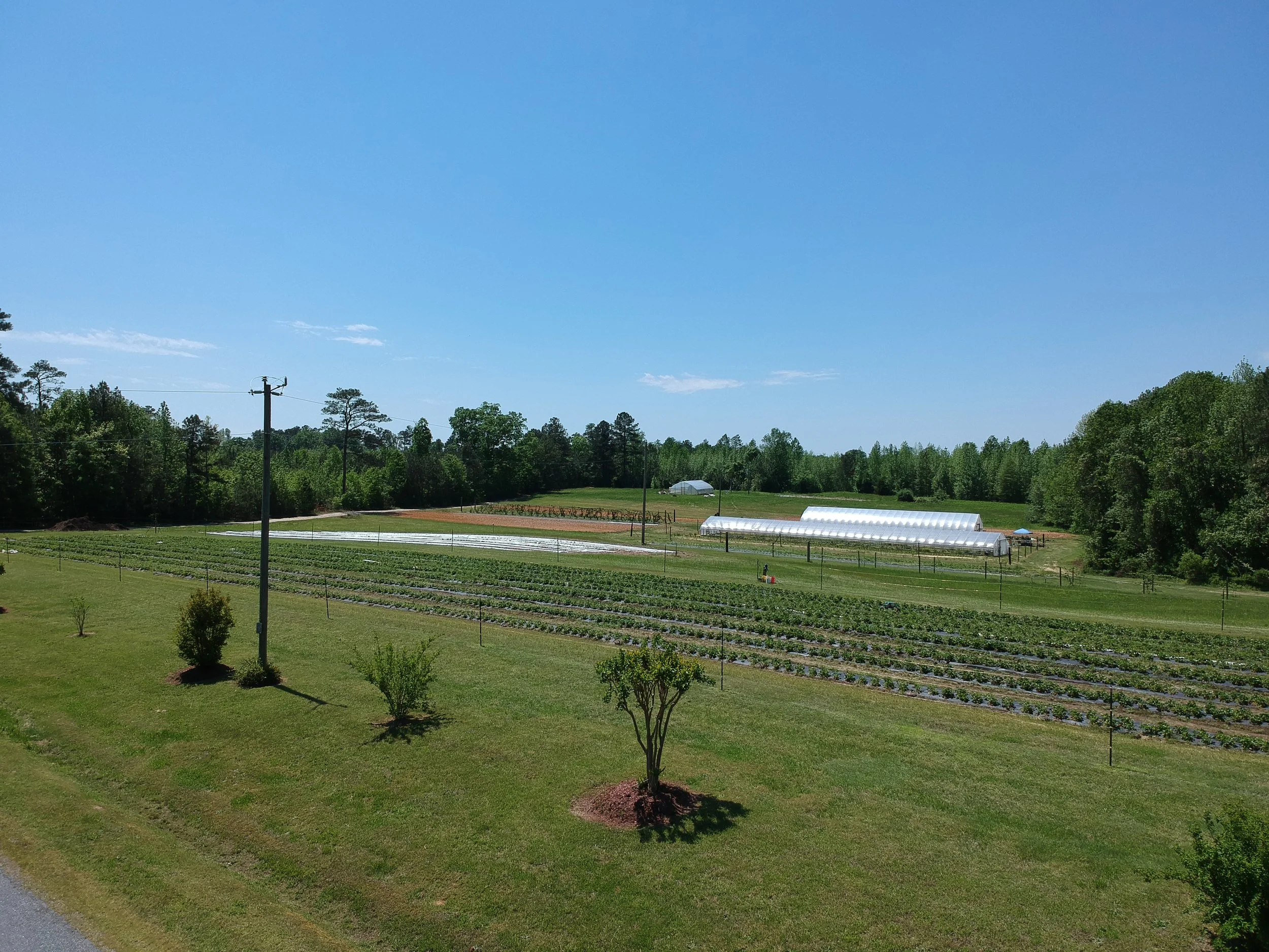 Browntown Farms | Naturally Grown Produce | Delicious Jams