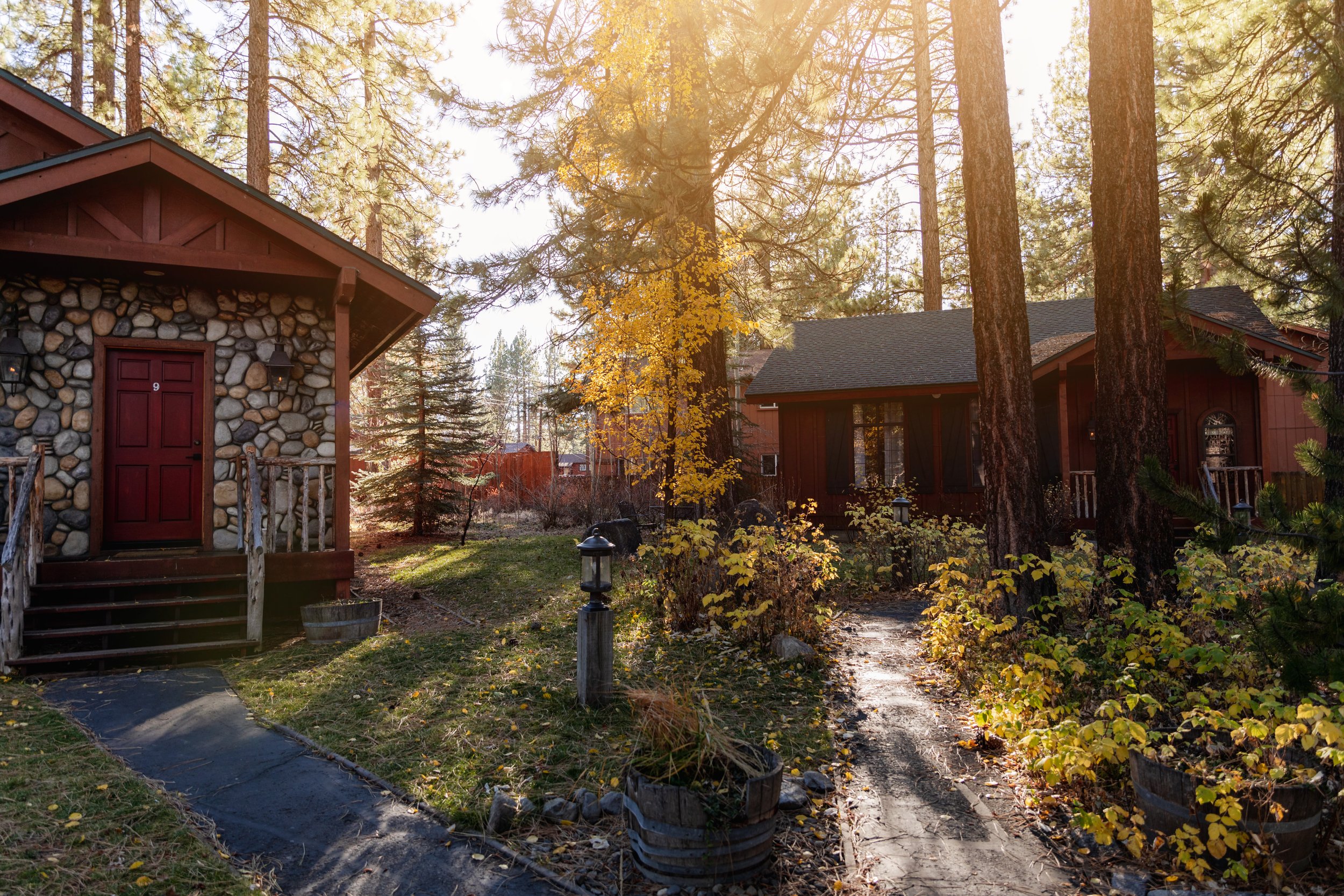 The Den Cabin — Black Bear Lodge