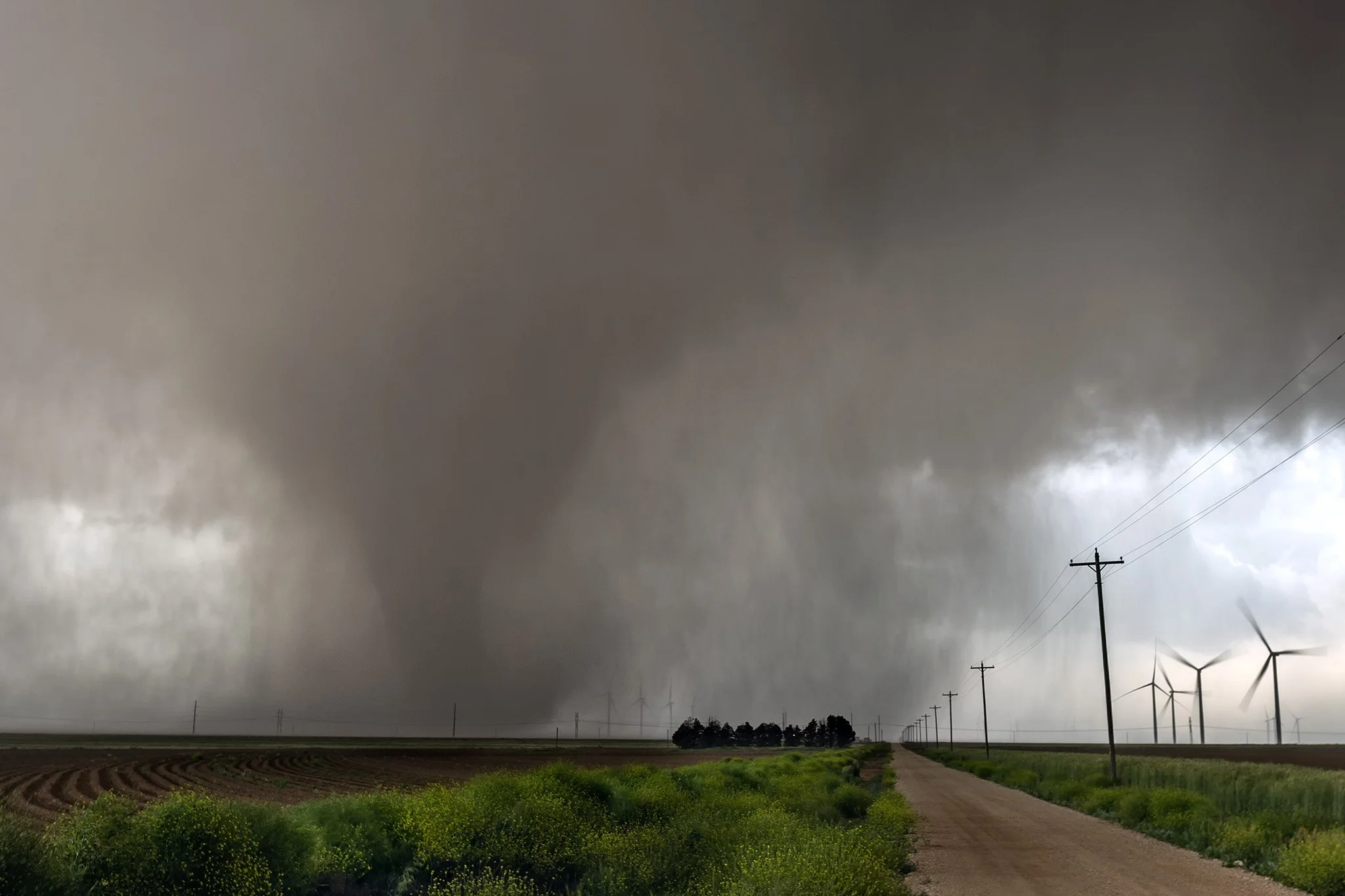 Schedule — Twister Hunter