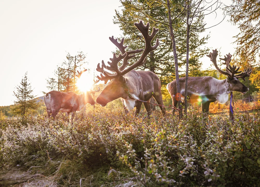Gallery 3 — Kathy Gabriel Photography