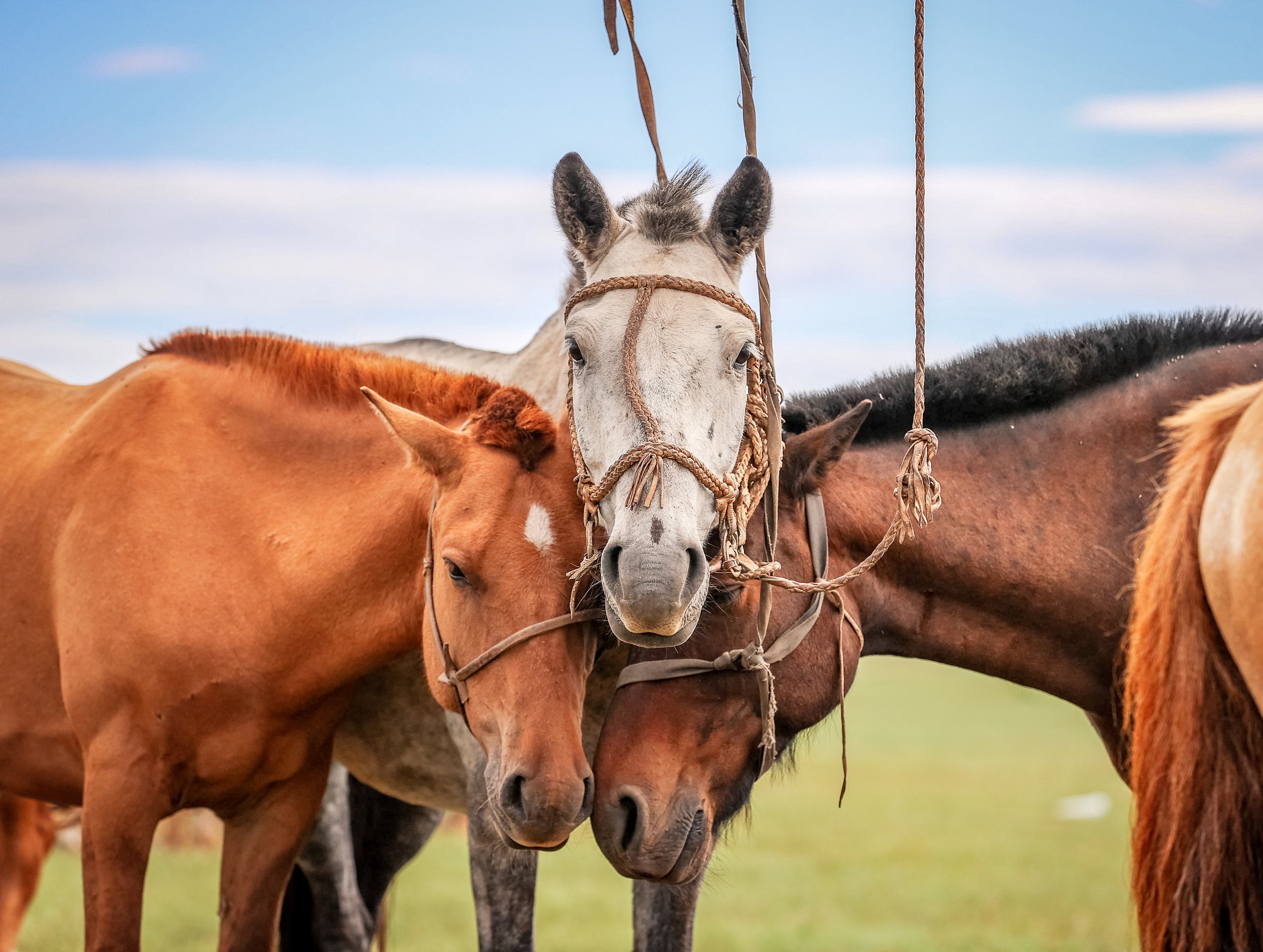 Kathy Gabriel Photography