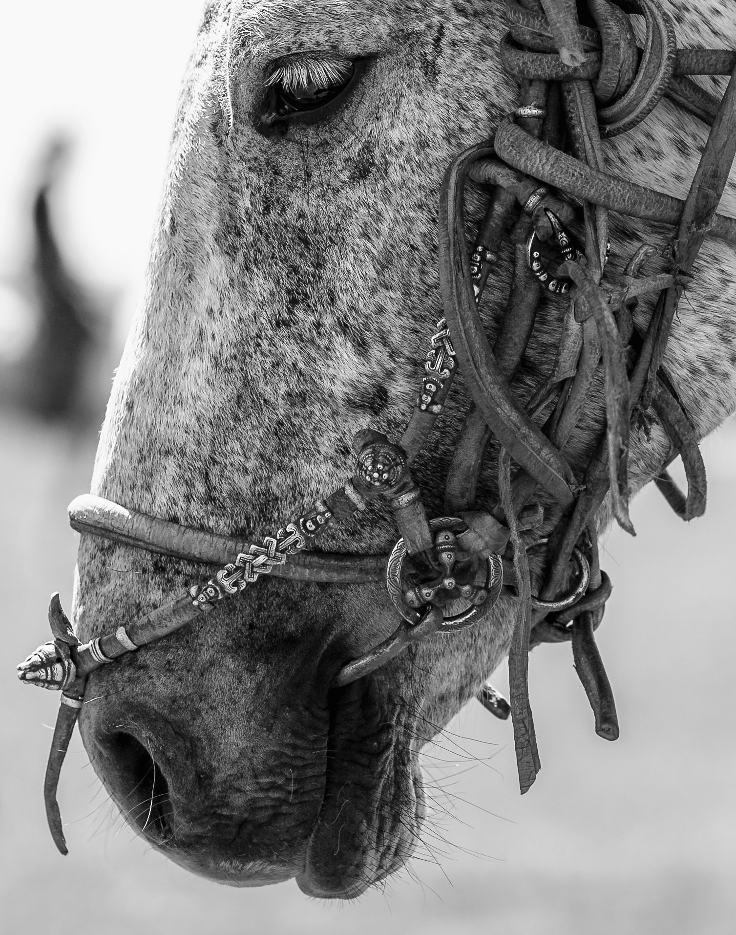 Gallery 3 — Kathy Gabriel Photography