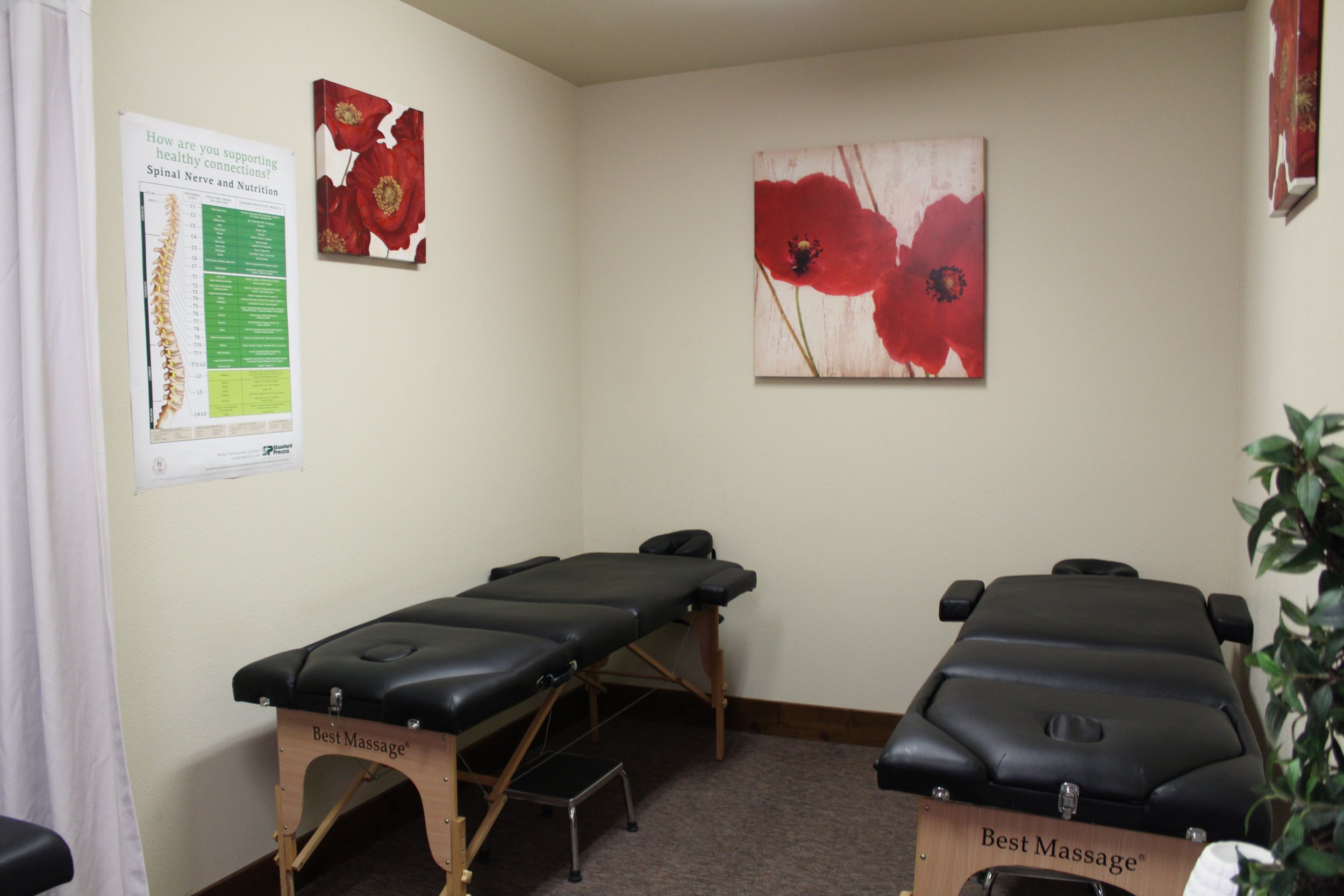 Maya Natural Health Clinic