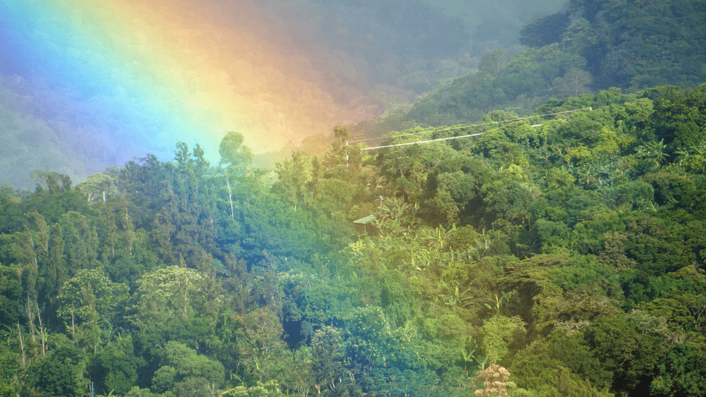 The Rainbow Warriors: Prophecy, Purpose, and the Journey to Global ...