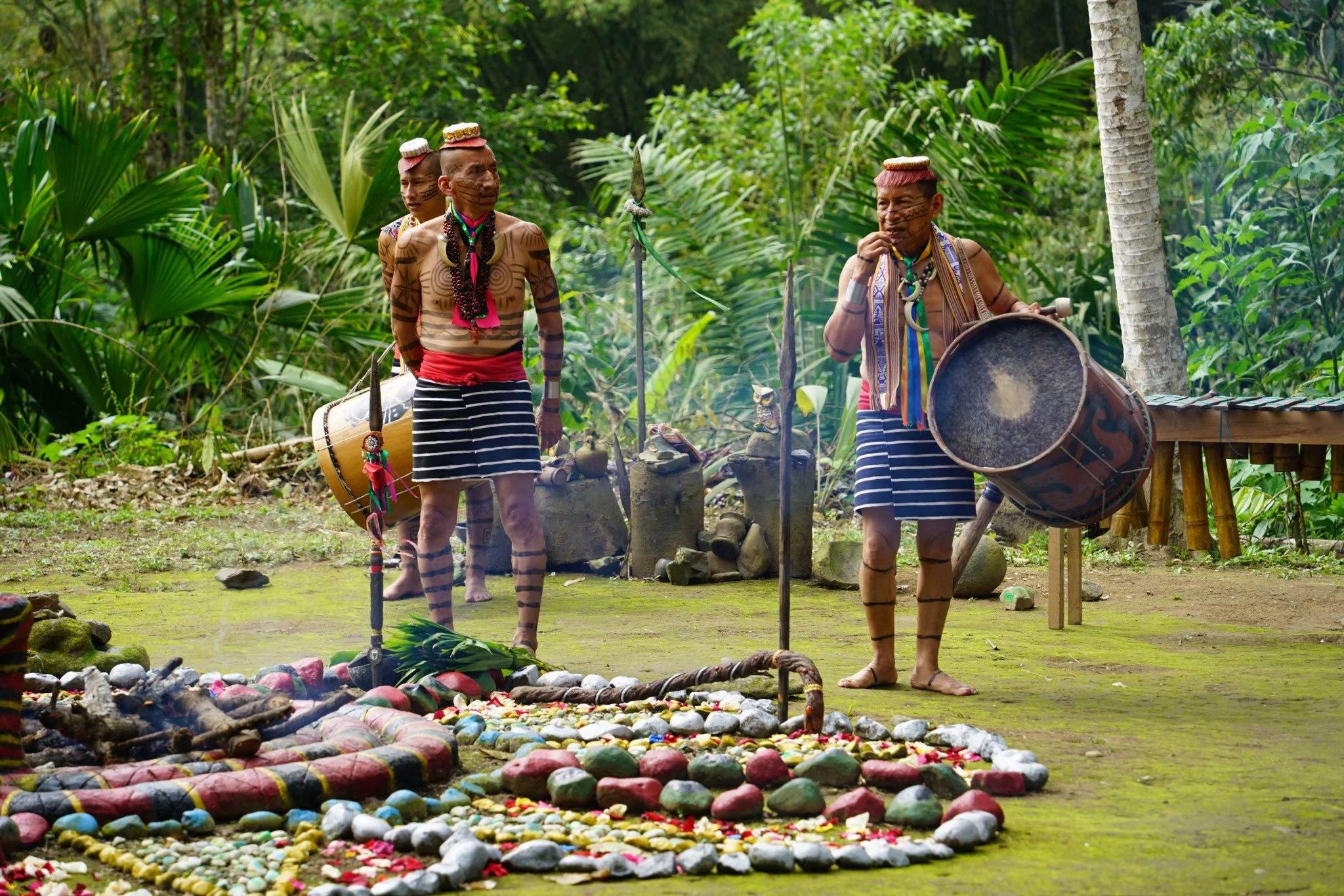 The Rainbow Warriors: Prophecy, Purpose, and the Journey to Global ...