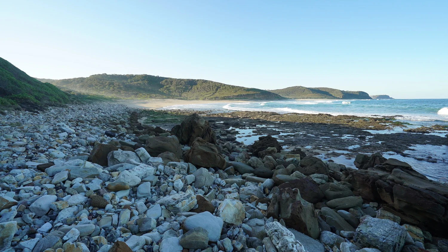 Your Doctors | Explore Our Specialized Care — Whitebridge Medical Centre