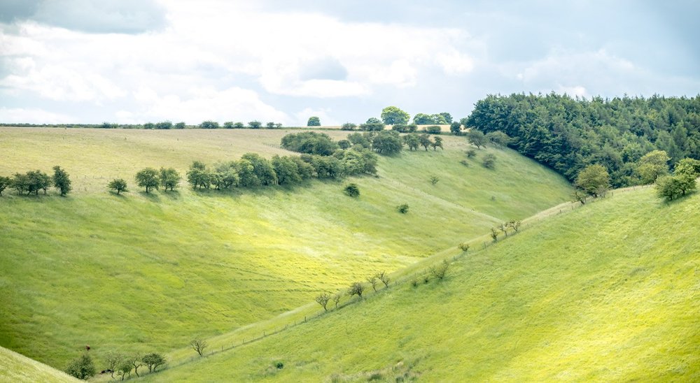 Yorkshire Wolds Ultra - Ultra Trails
