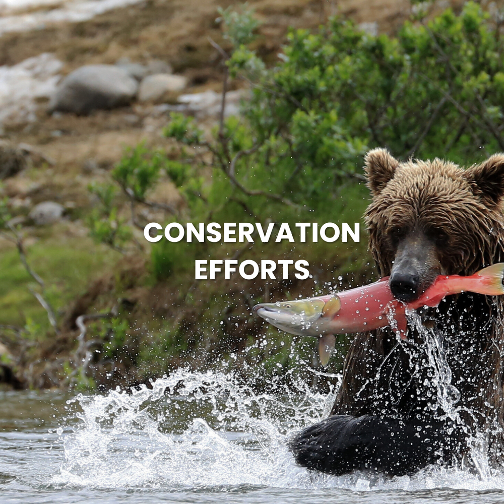 The American Fly Fishing Trade Association