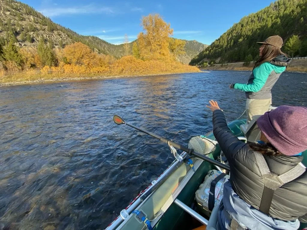 The American Fly Fishing Trade Association