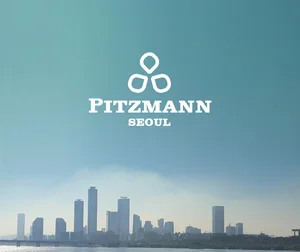 FAQs — PITZMANN
