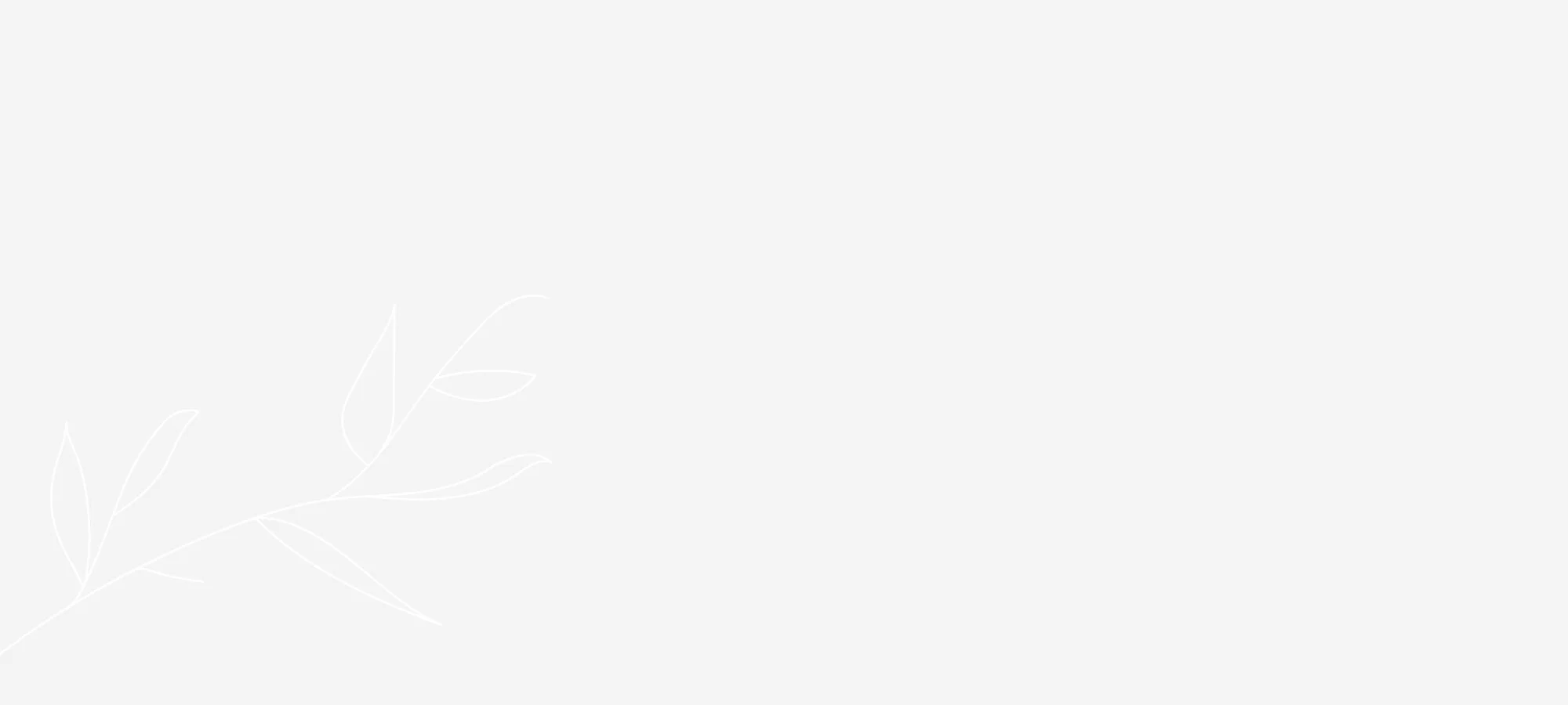 The Ultimate Guide to Flodesk | Flodesk Review | byRosanna ...