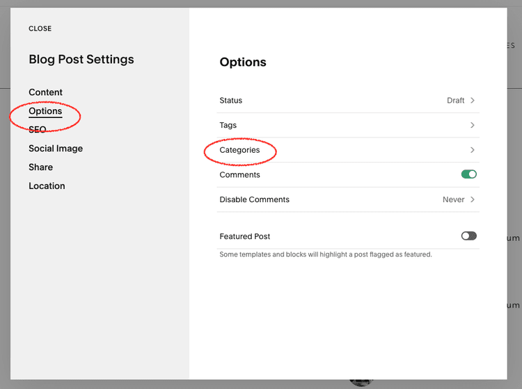 Creating Your First Blog Post in Squarespace 2024 (Best Practices ...