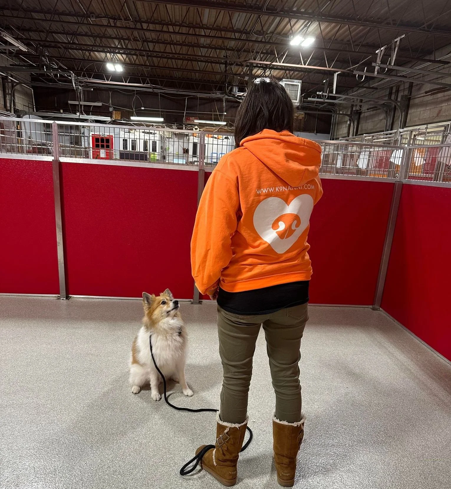 Training — K9Nanni