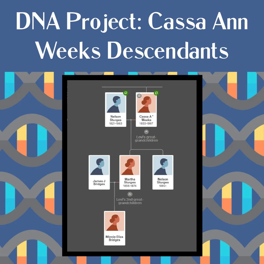 DNA Project: Cassa Ann Weeks Descendants — Everyday Adventures in Genealogy