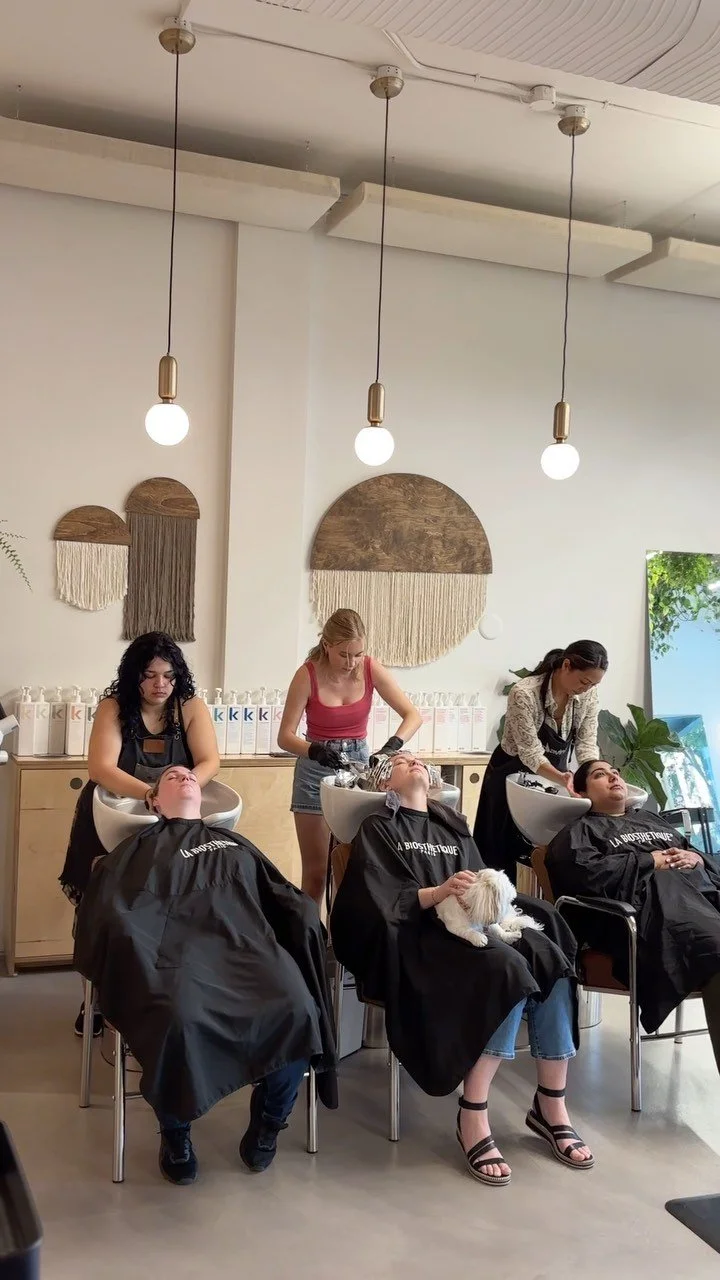 Book the Best Salon Haircut Near Me at Stone Fox Hair — STONE FOX
