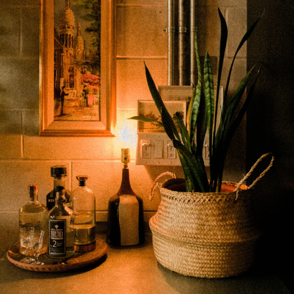 Main Street Salon - Stone Fox Hair — STONE FOX