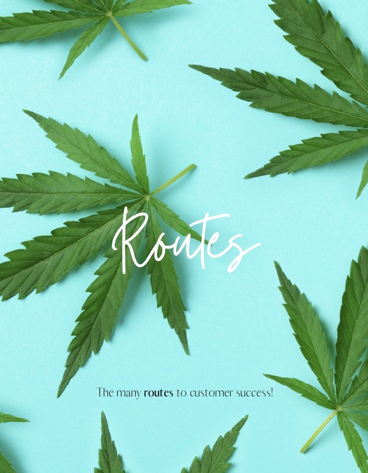 Gallery 3 — michaela bond