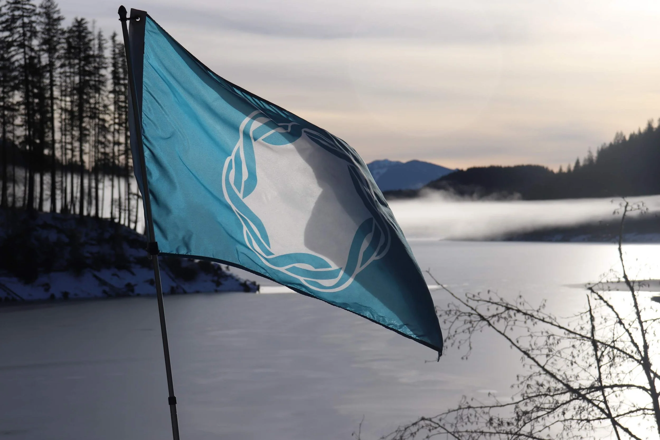 Seattle Flag