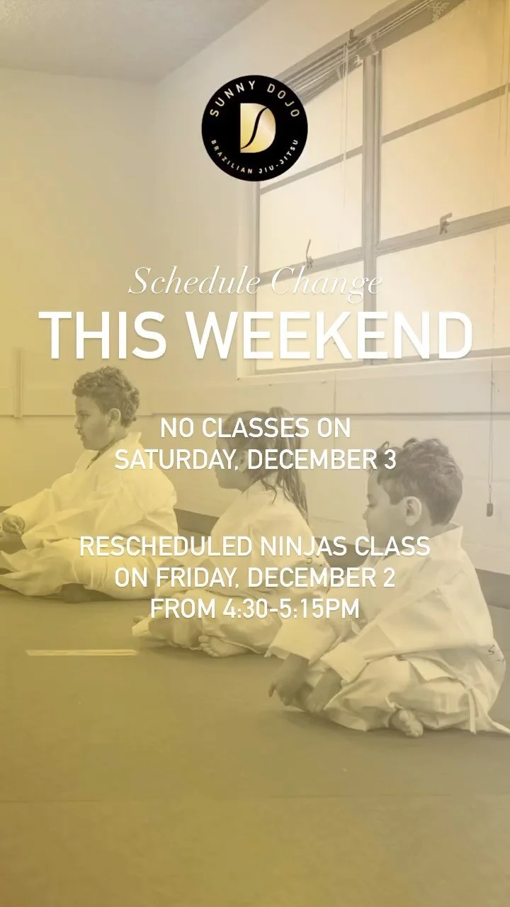 Dojo Etiquette — Sunny Dojo