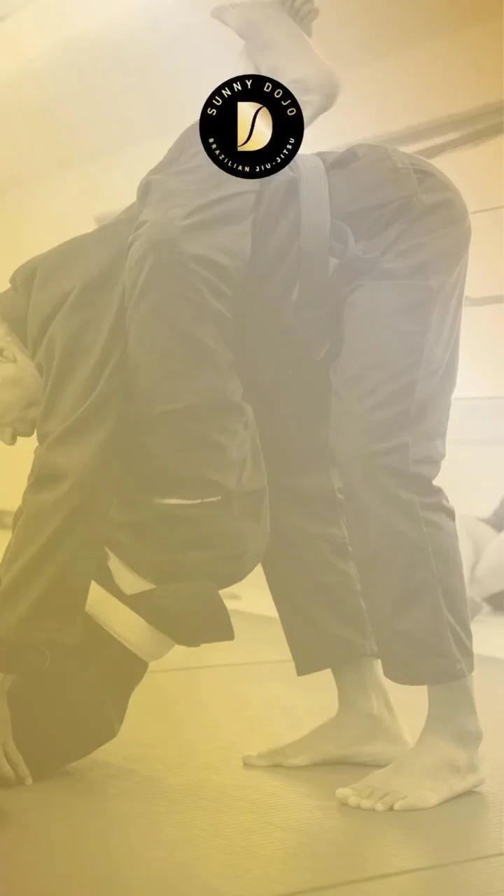 Dojo Etiquette — Sunny Dojo