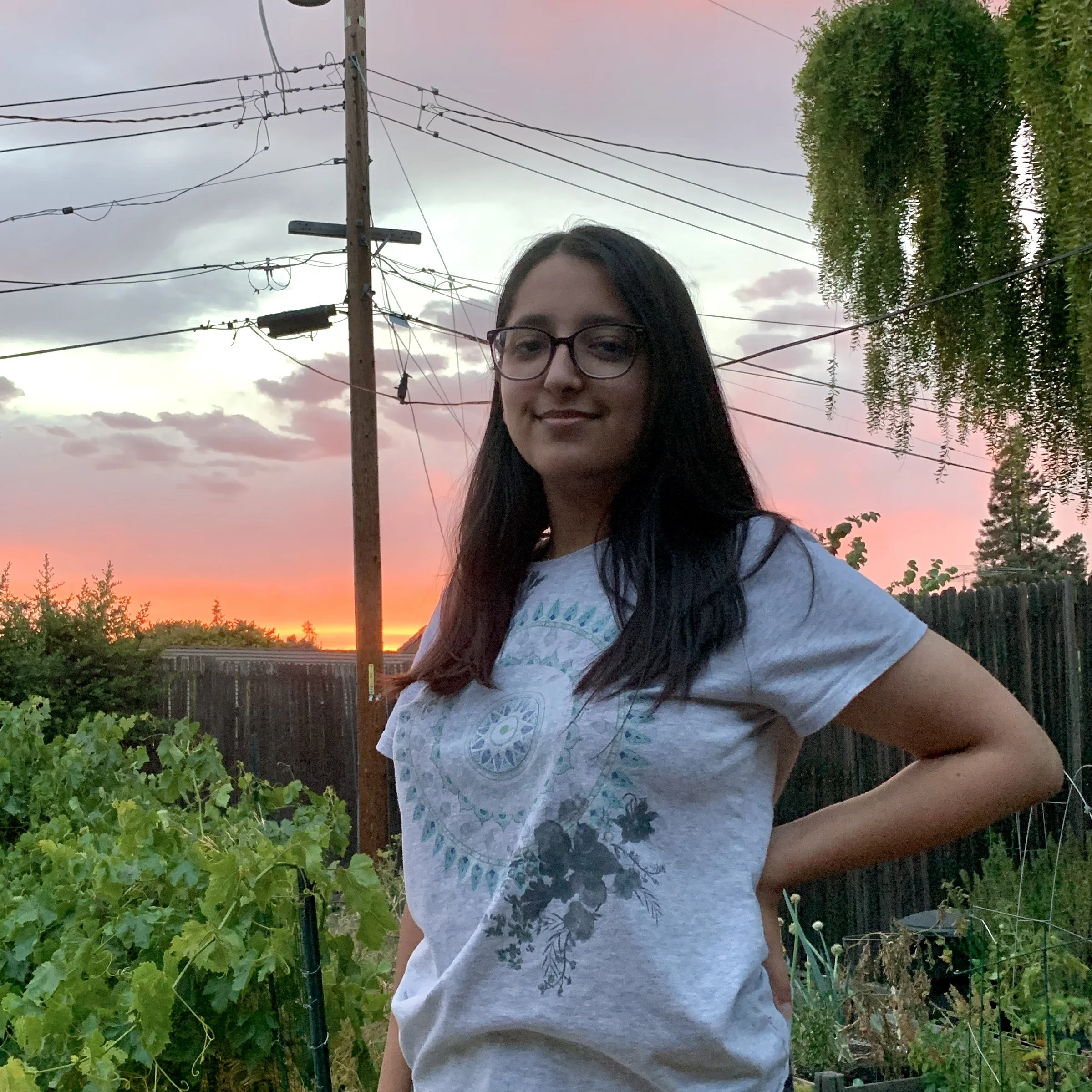Meet the Board — Cub Support