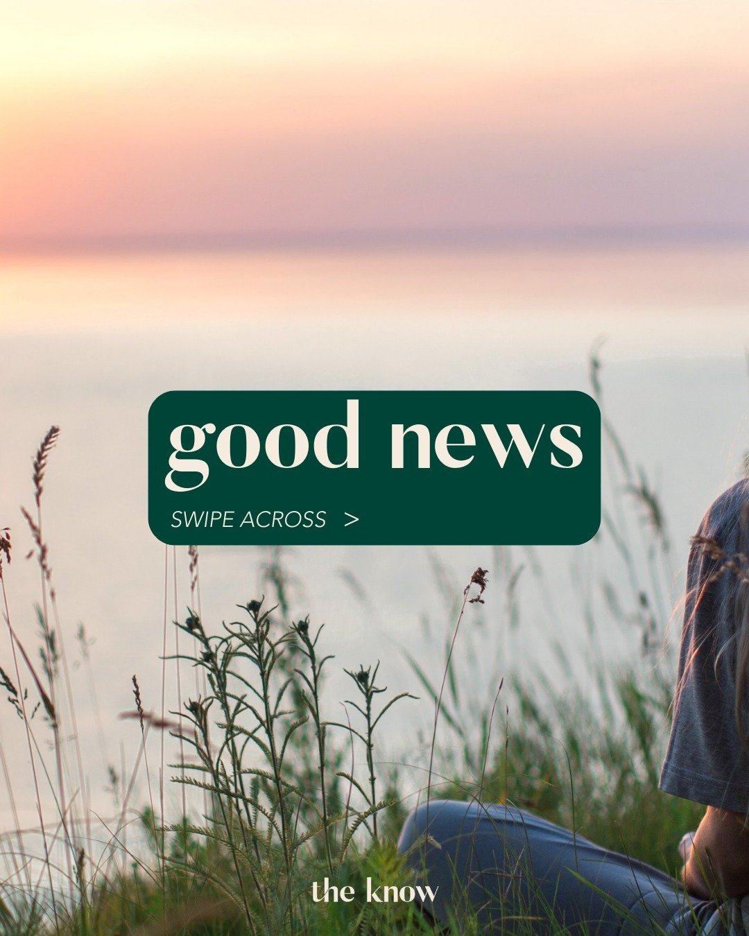 The Know Newsletter