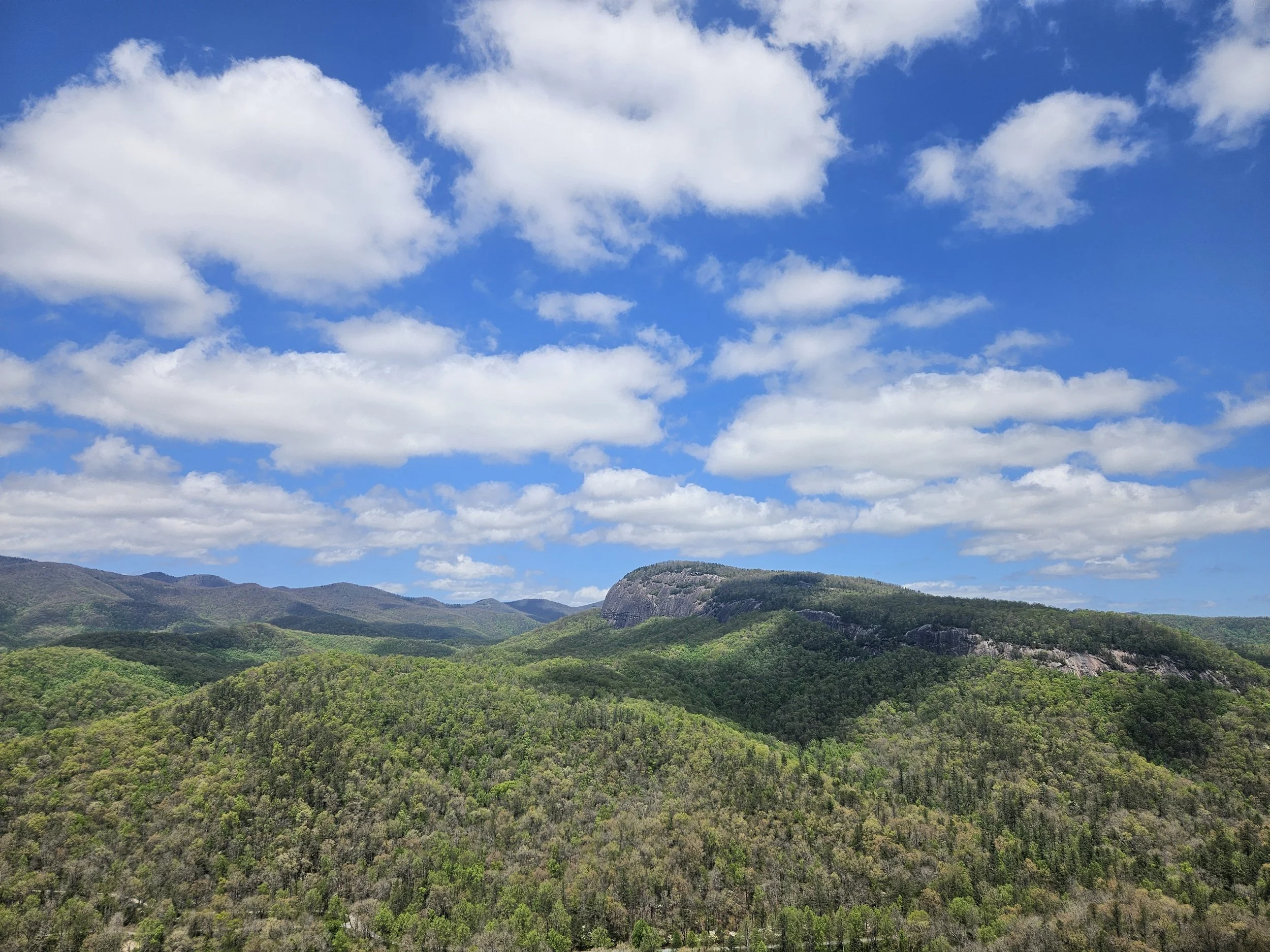 Single Pitch Climbing — Adventure Grown Guides