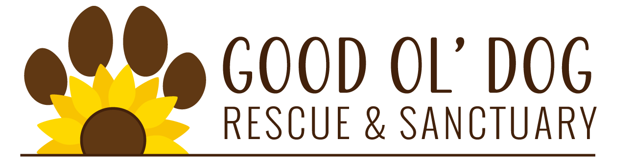Adopt a senior dog! — Good Ol' Dog Rescue & Sanctuary