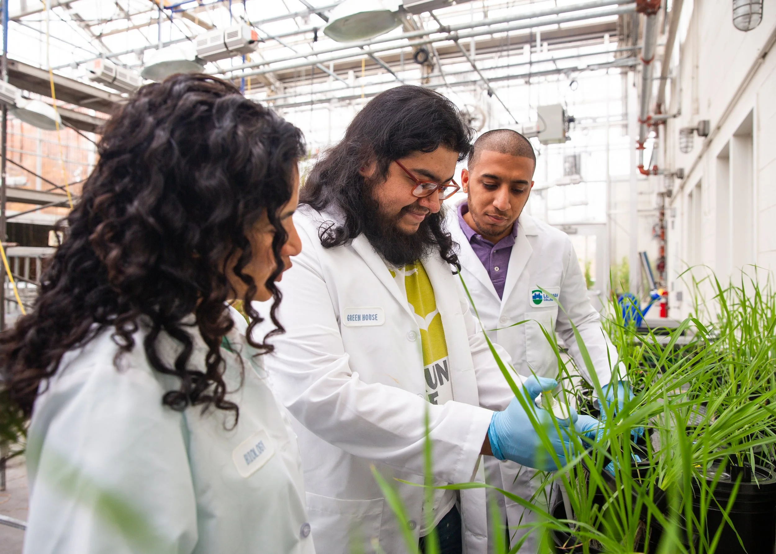 Renuka Sankaran - Lehman College