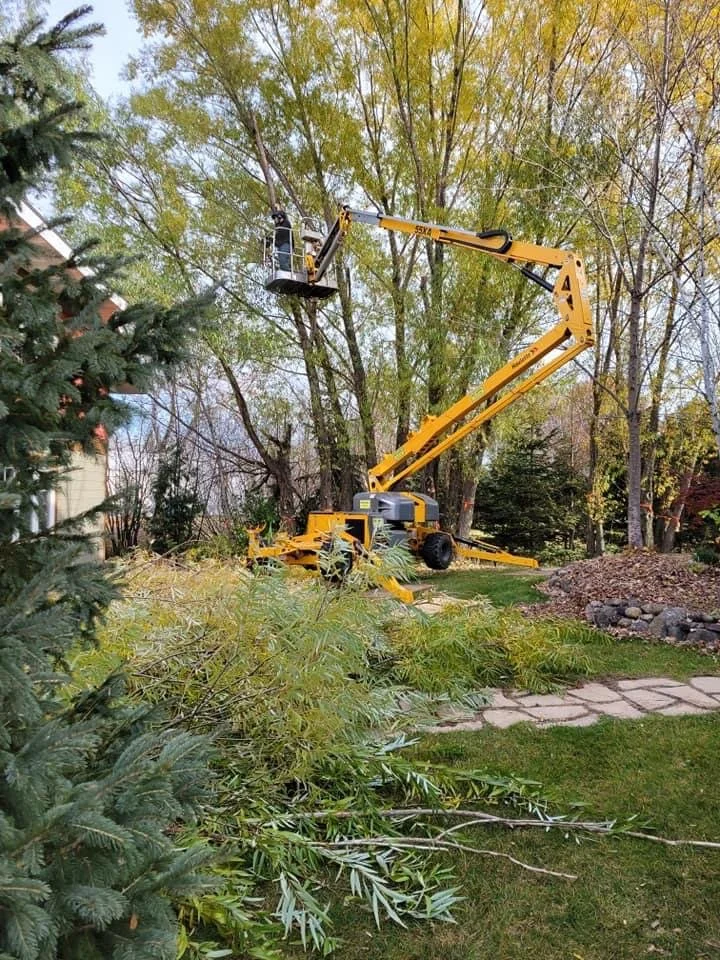 Roufs Forestry Services